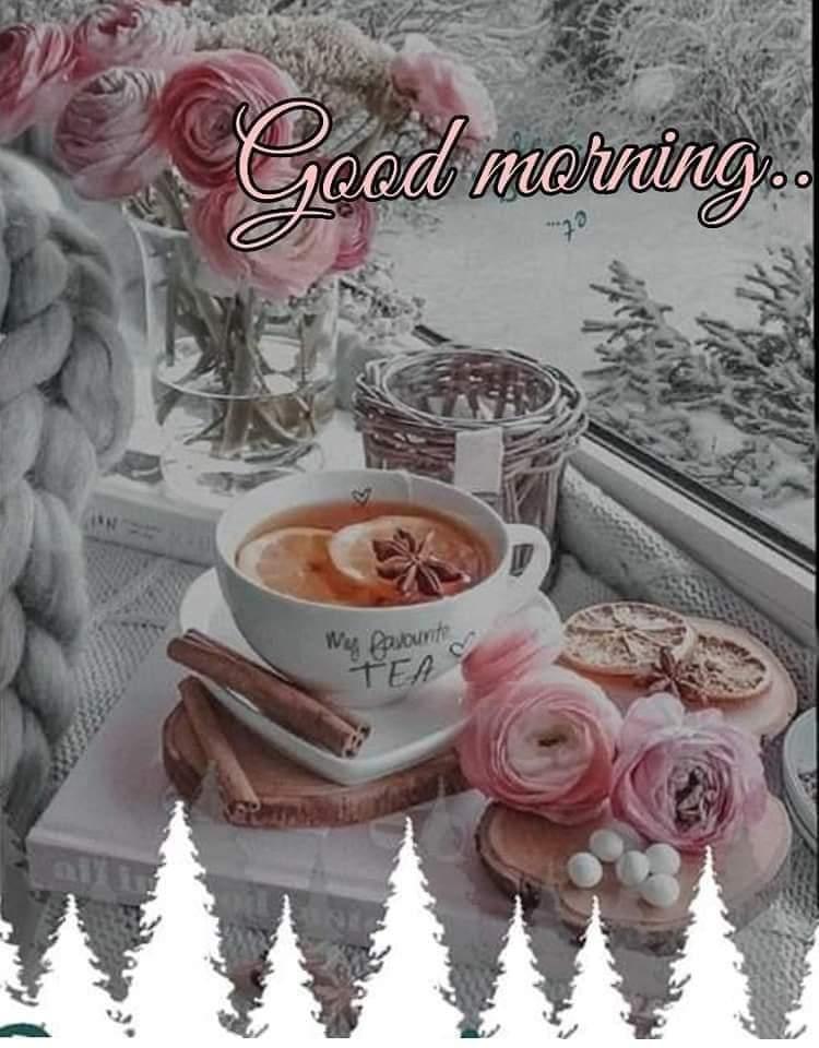 Jappy - Deine Online-Community