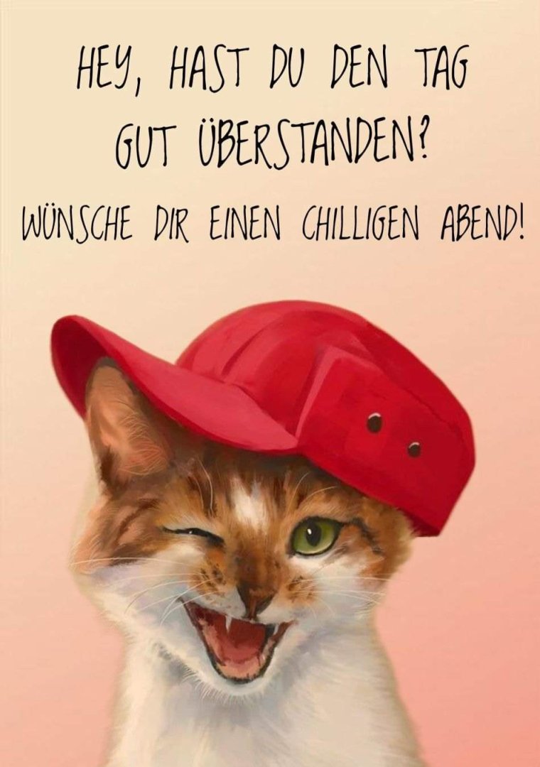 Jappy - Deine Online-Community