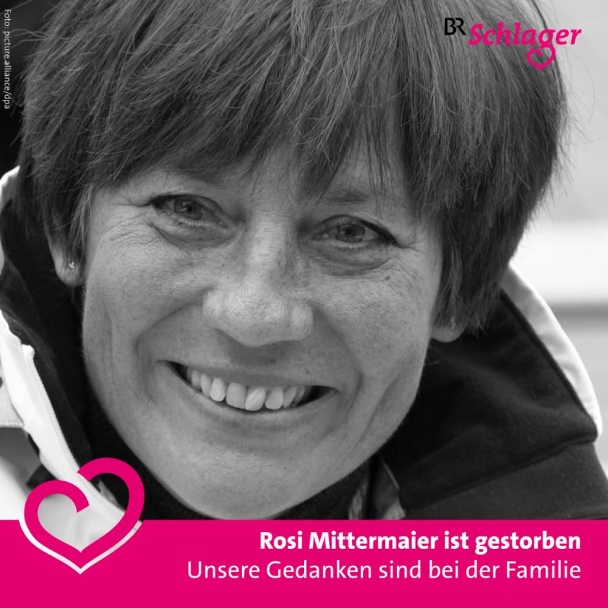 Jappy - Deine Online-Community