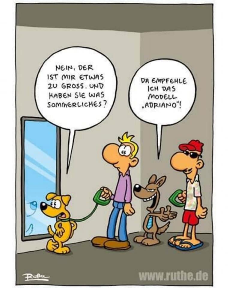 Jappy - Deine Online-Community