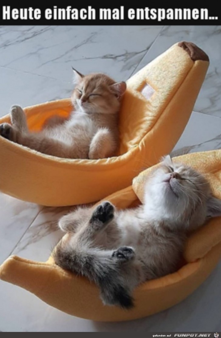 Jappy - Deine Online-Community