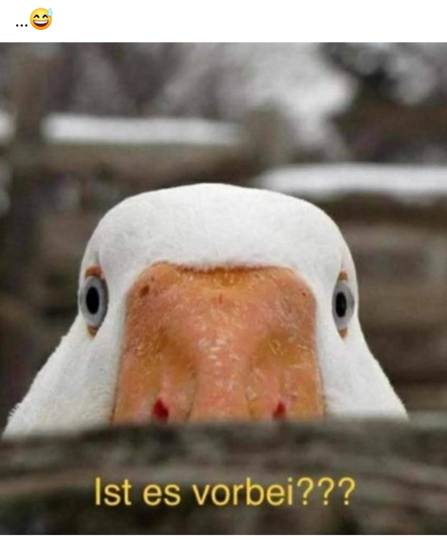 Jappy - Deine Online-Community