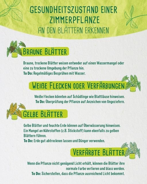 Jappy - Deine Online-Community