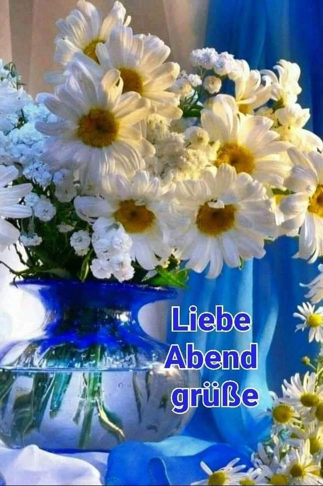 Jappy - Deine Online-Community