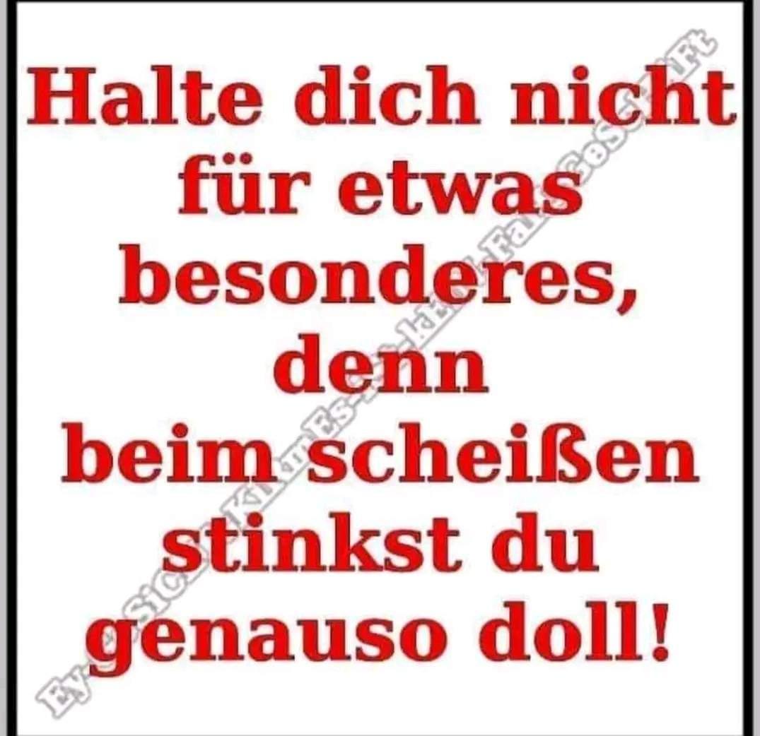 Jappy - Deine Online-Community