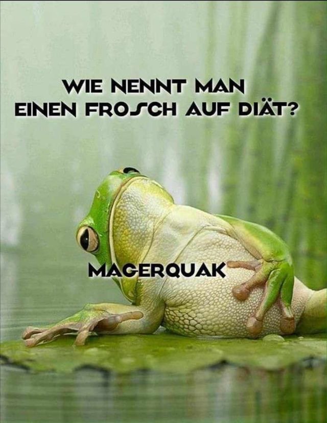 Jappy - Deine Online-Community