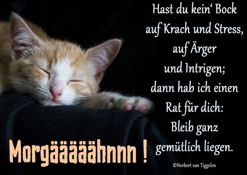 Jappy - Deine Online-Community