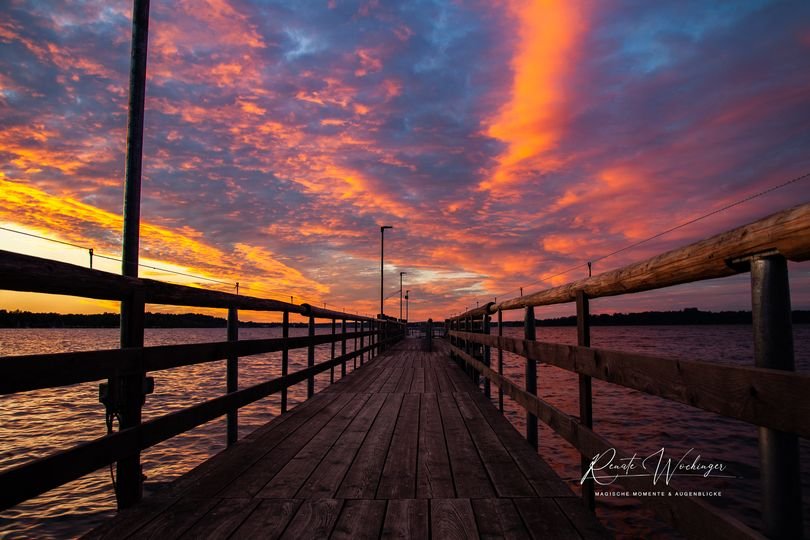 Jappy - Deine Online-Community