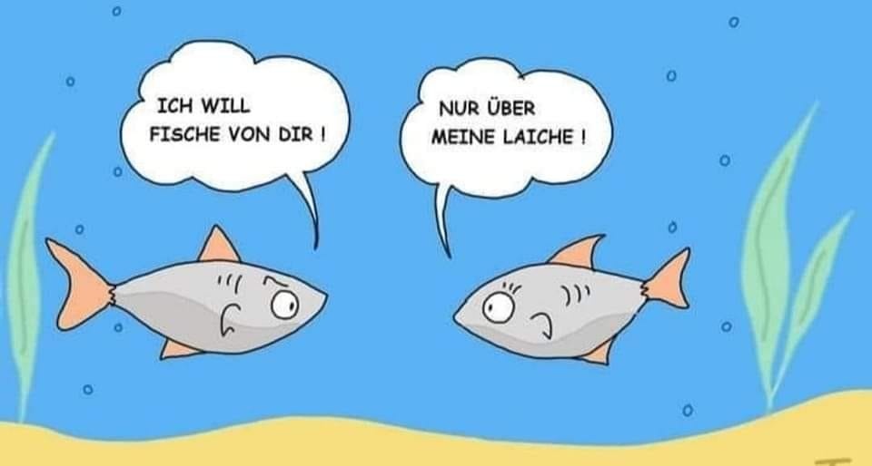 Jappy - Deine Online-Community