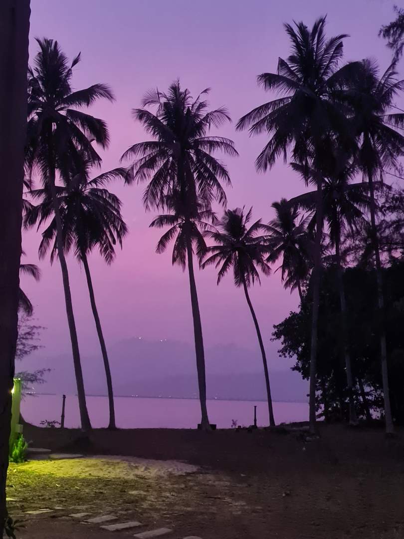 Jappy - Deine Online-Community