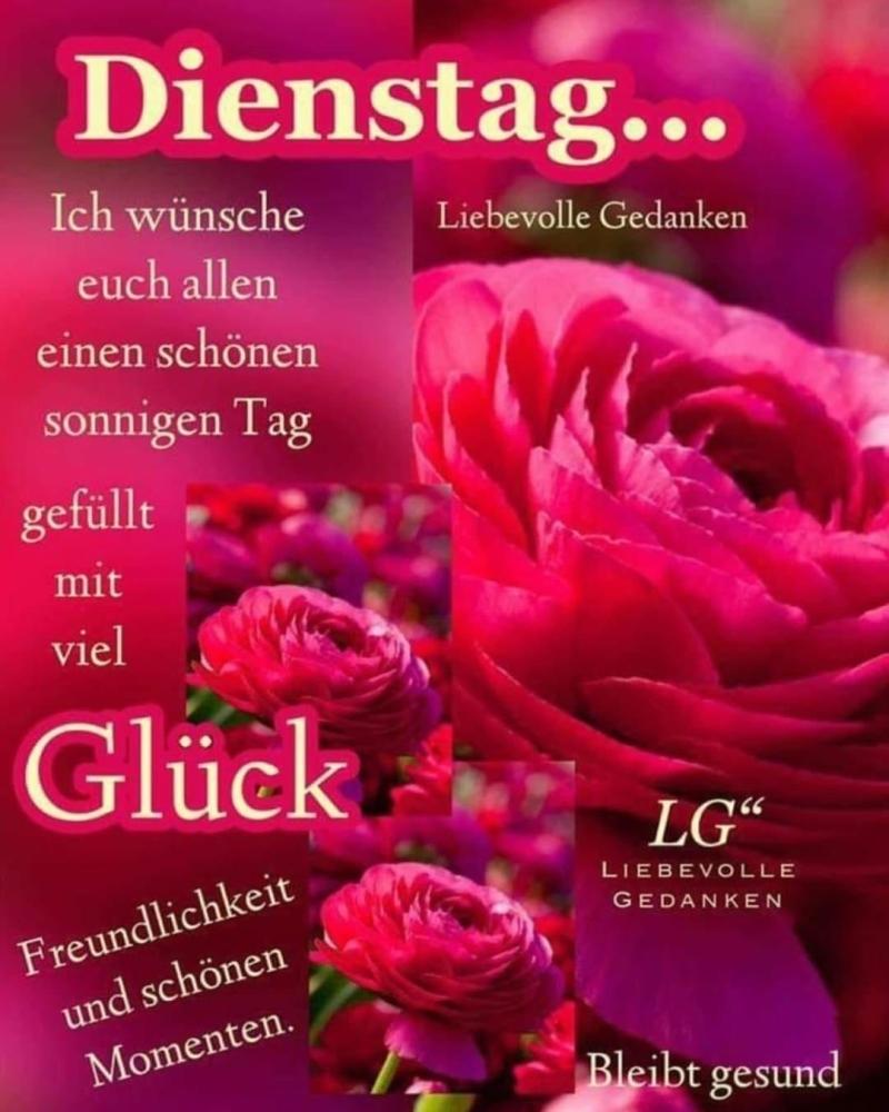 Jappy - Deine Online-Community