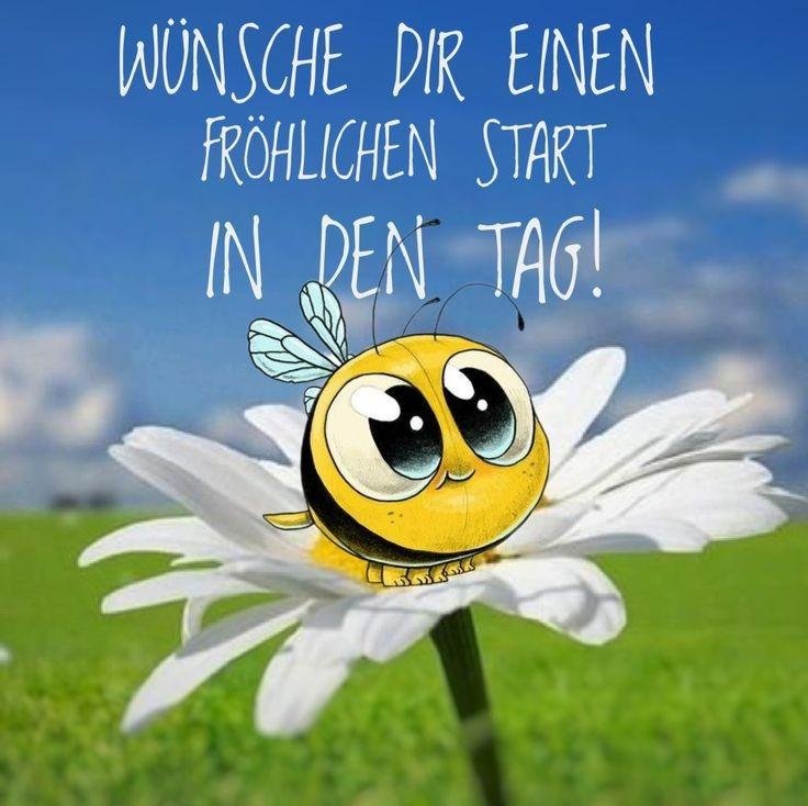 Jappy - Deine Online-Community