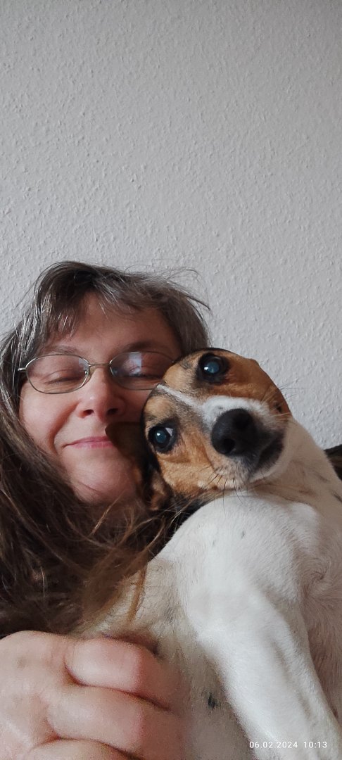 Jappy - Deine Online-Community