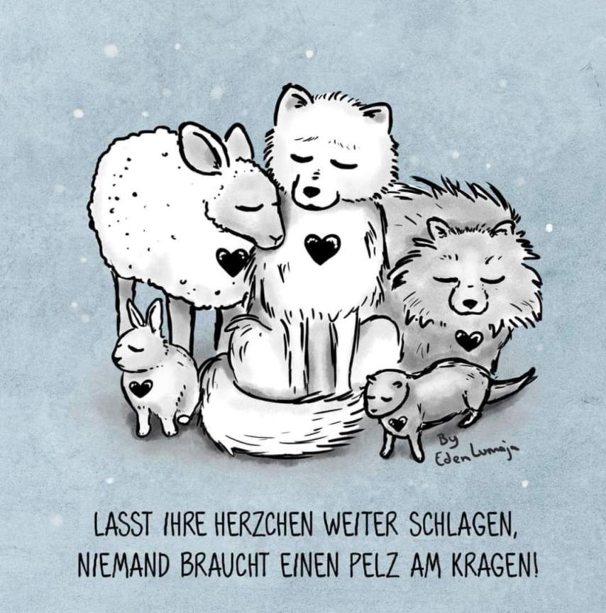 Jappy - Deine Online-Community