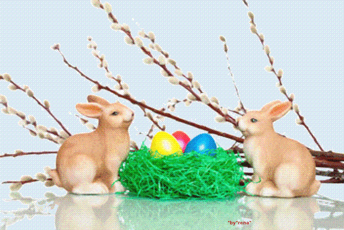 Jappy - Deine Online-Community