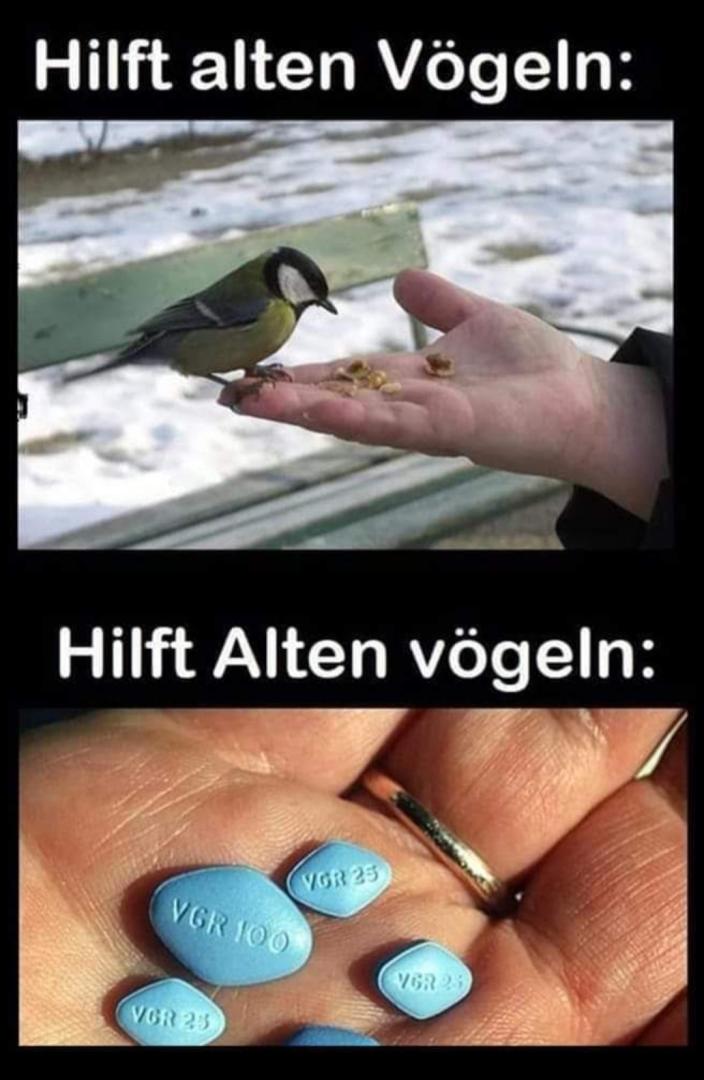 Jappy - Deine Online-Community