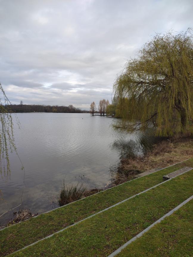 Jappy - Deine Online-Community