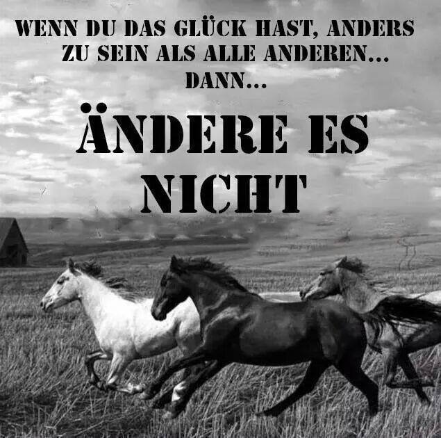 Jappy - Deine Online-Community