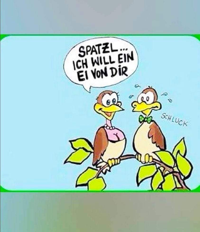 Jappy - Deine Online-Community