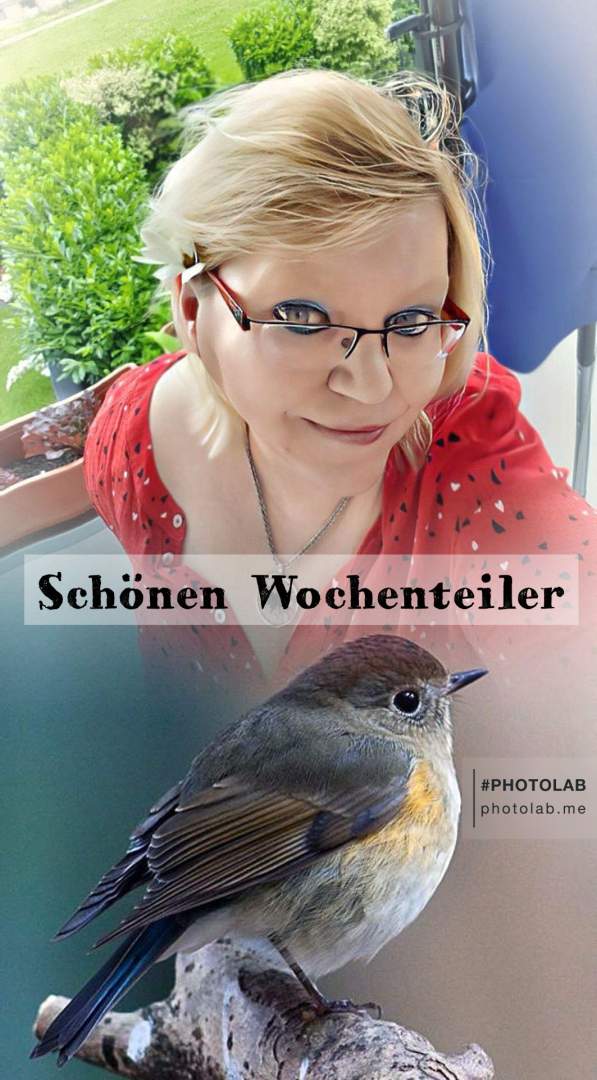 Jappy - Deine Online-Community