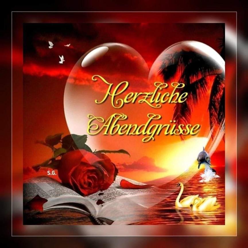 Jappy - Deine Online-Community