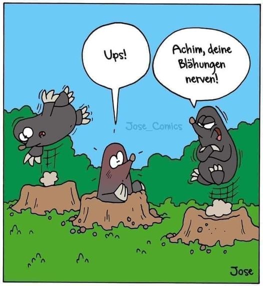 Jappy - Deine Online-Community